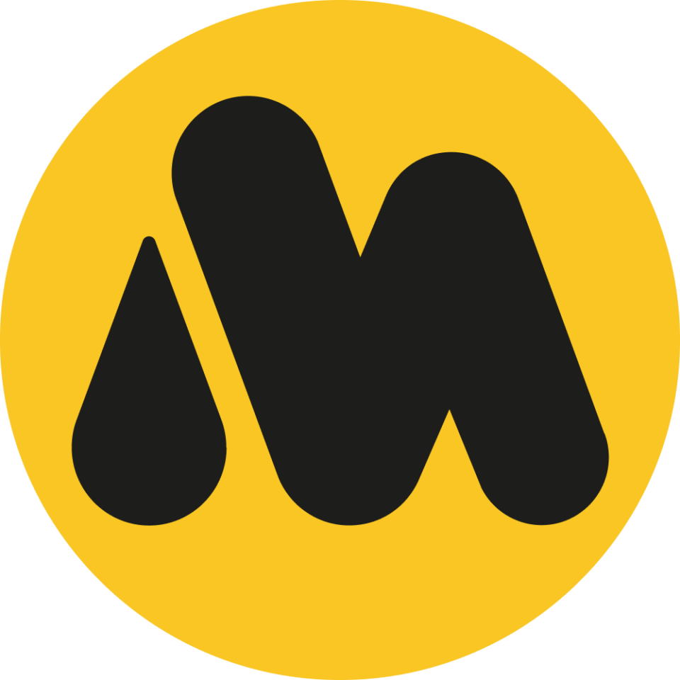 Internationaal online succes behalen - Fastware | Natuurlijk digitaal!